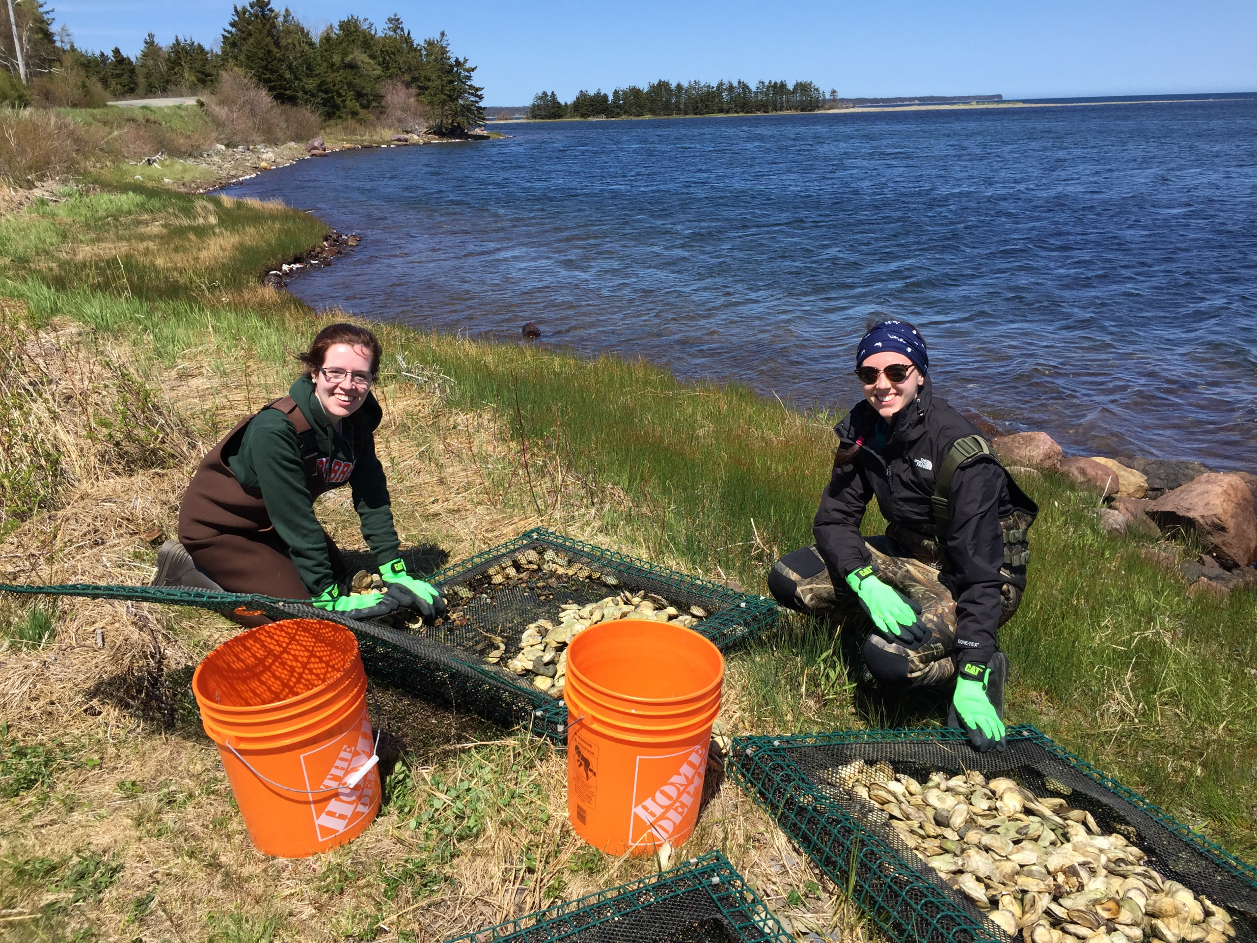 Staying Home for University: A CBU Alumna's Story [2min Read] - Cape ...