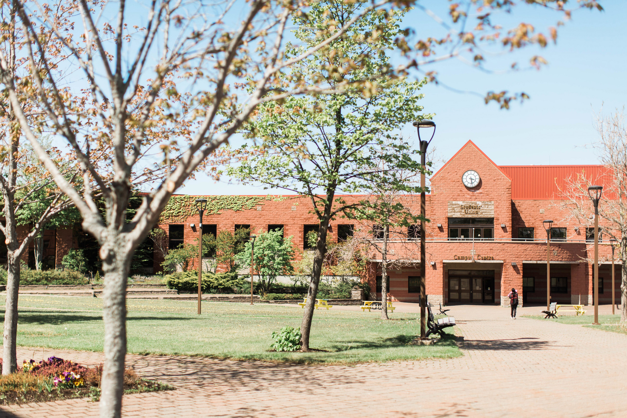 Federal Funding Leaves International Students Behind - Cape Breton ...