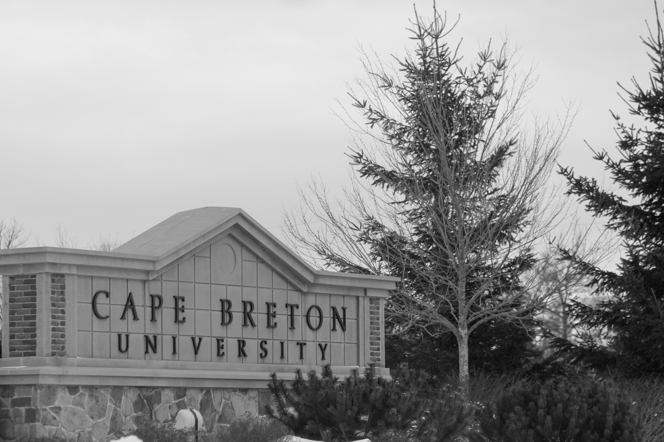 CBU Mourns the loss of Nancy Dingwall - Cape Breton University : Cape ...