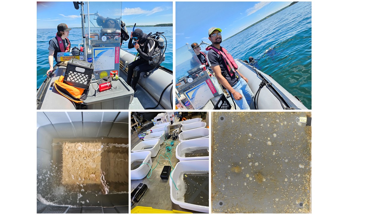 Research Snapshots - Cape Breton University : Cape Breton University