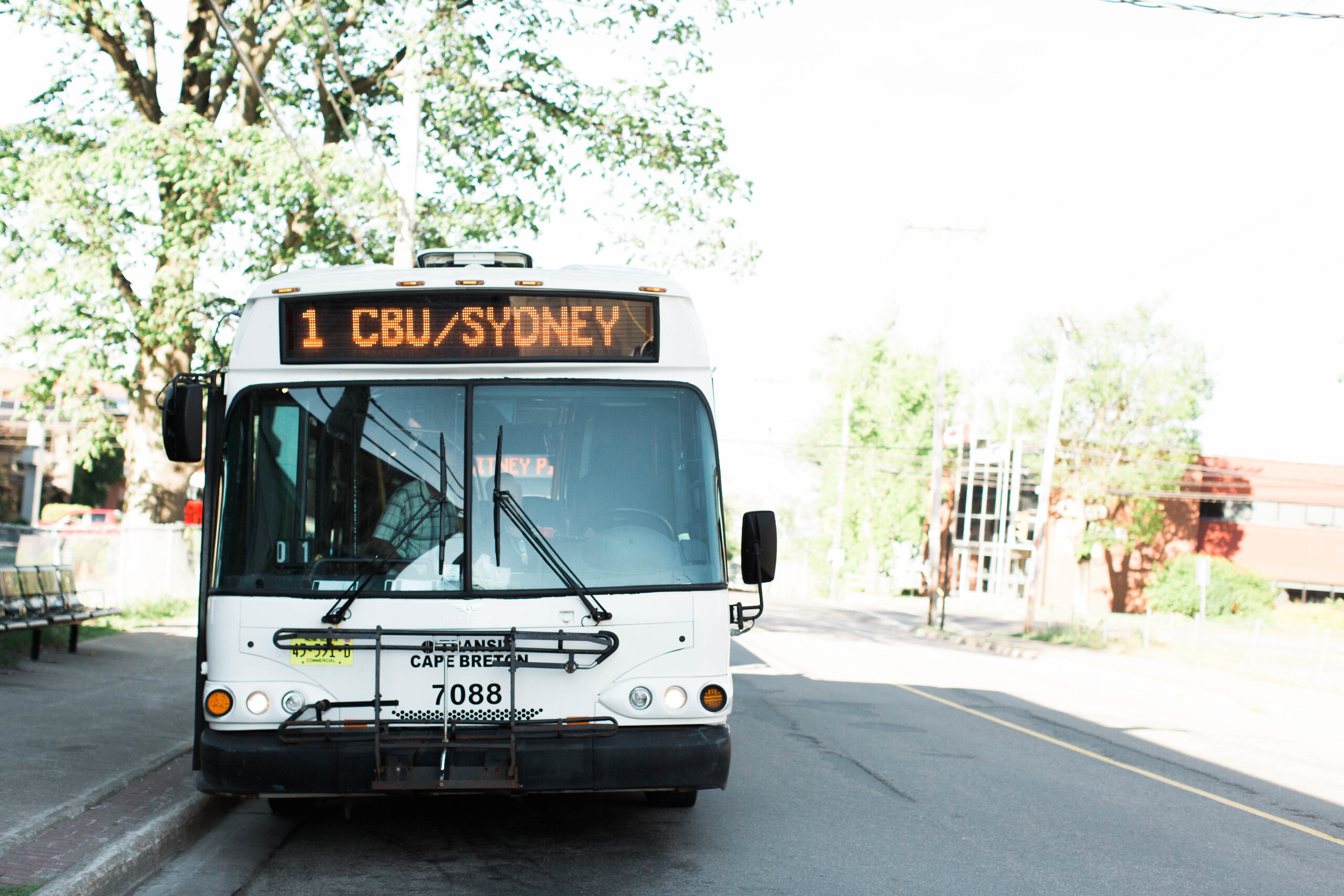 Understanding CBRM Transit [3 Min Read] - Cape Breton University : Cape ...