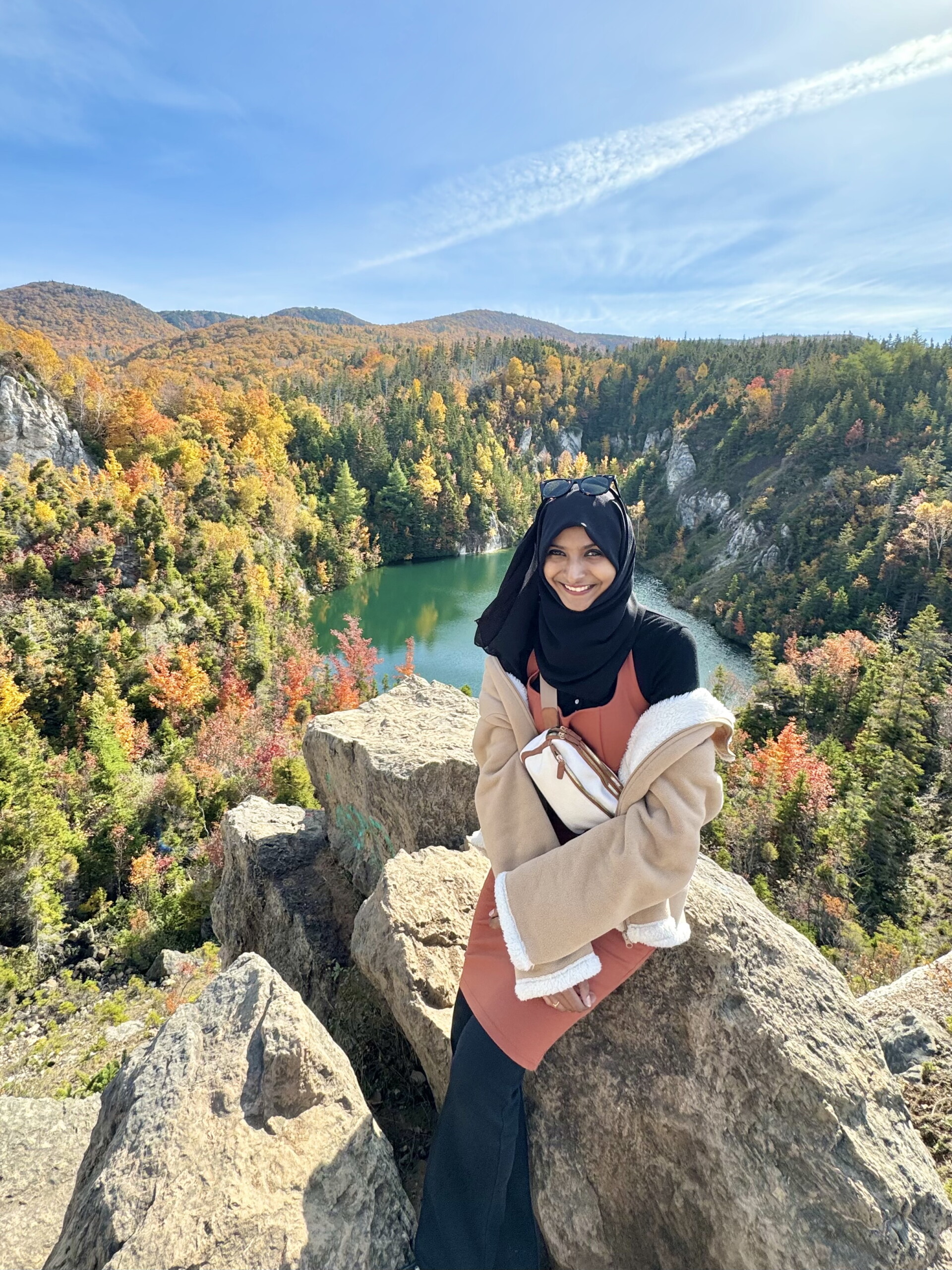 Helping with the Journey to Mental Wellness: Meet Alfiya Fazil Thangal ...