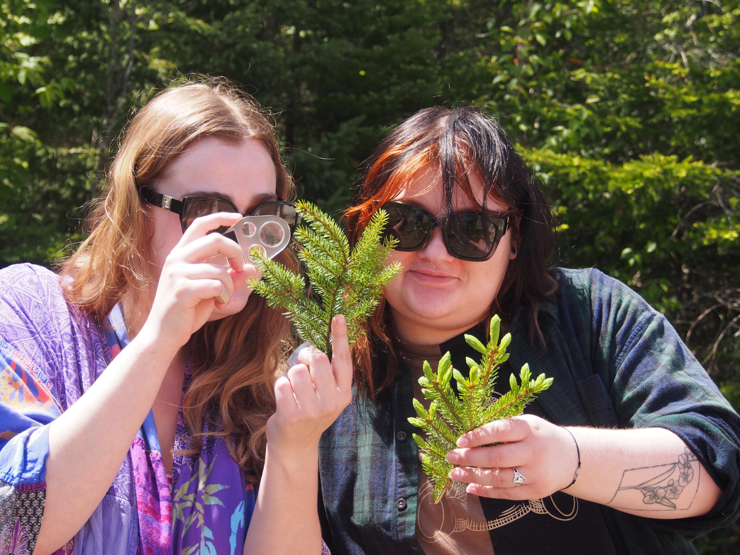 Island Folk Cider House and CBU Students “Spruce Up” Summer with a ...